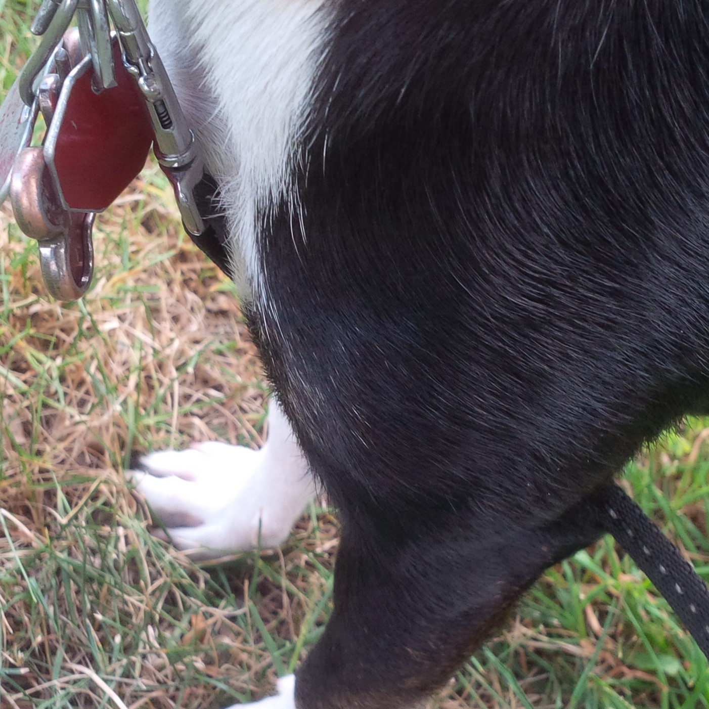 JENNA-RALITIES - Murphdog Magazine