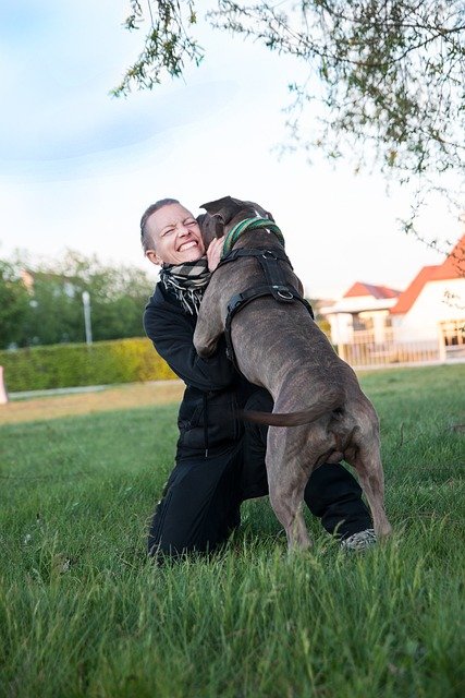 IS PUSHING INTRUSIVE OR BONDING? - Murphdog Magazine